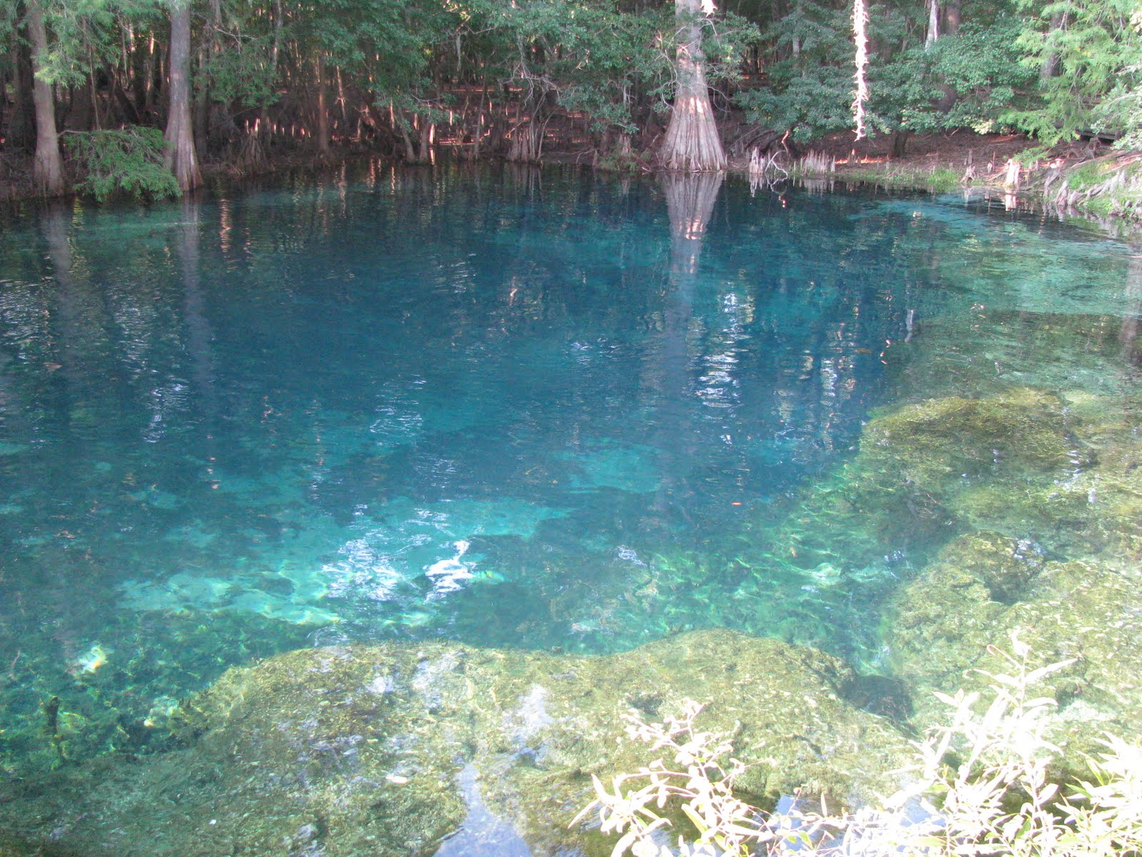 Paul & Joyce, Exploring our Country: Manatee Springs State Park
