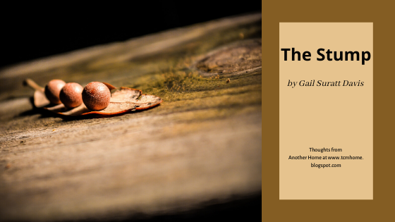 Thoughts from Another Home ©: The Stump