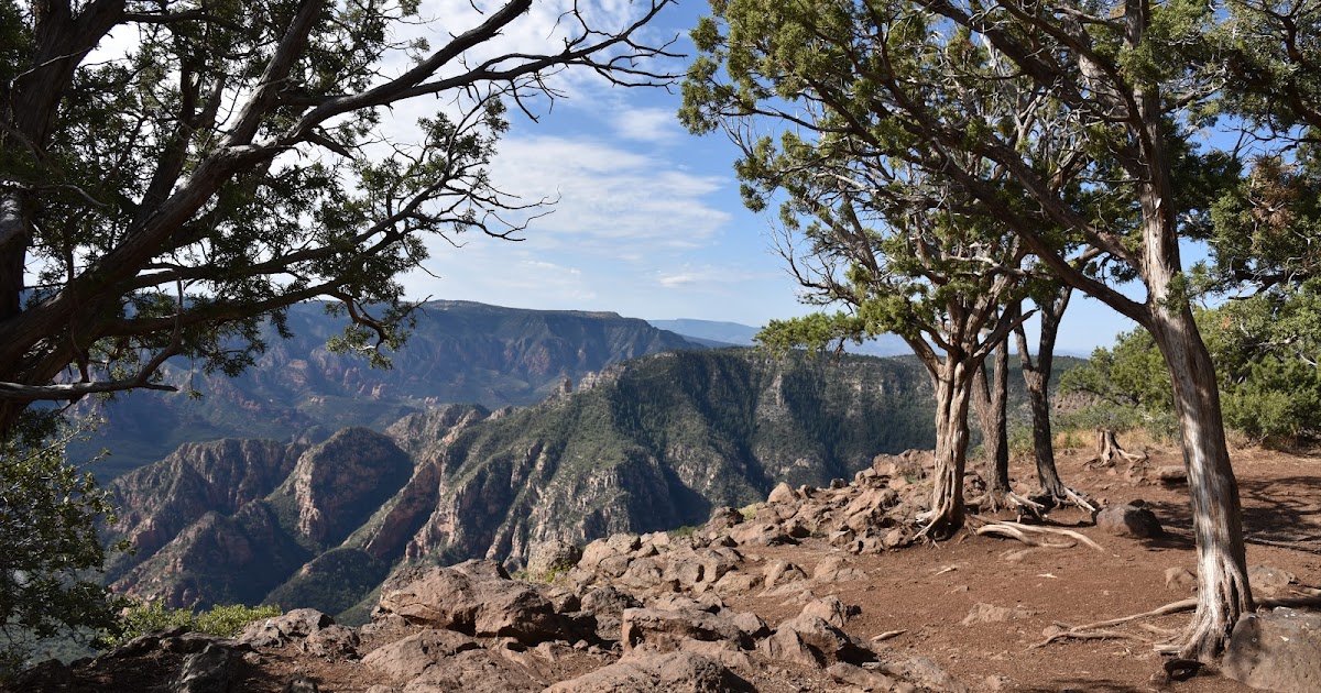 Arizona Hiking: SYCAMORE POINT TRAIL