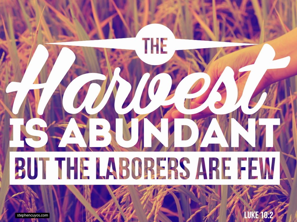 Kingdom Work - Digging The Word