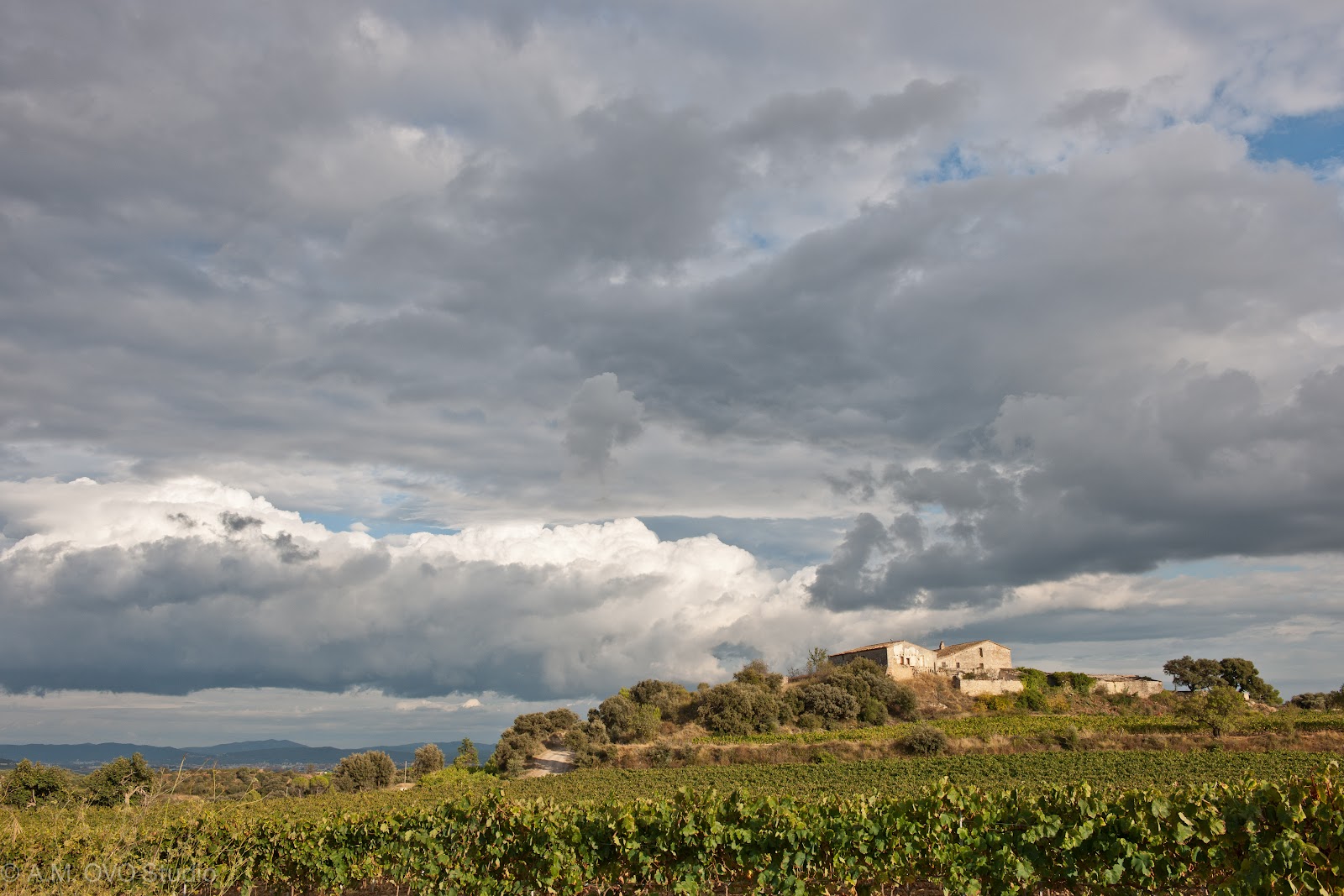 The Spotting Eye: Rural Spain: Les Conilleres and Castelví de La Marca ...