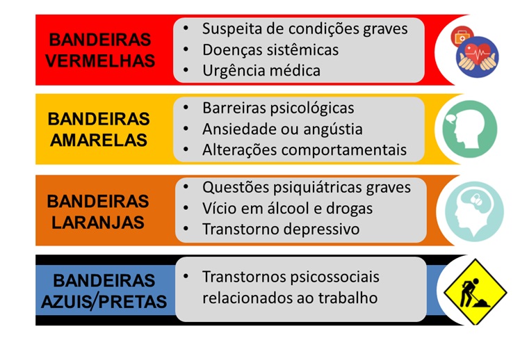 O Guia do Fisioterapeuta: 2020