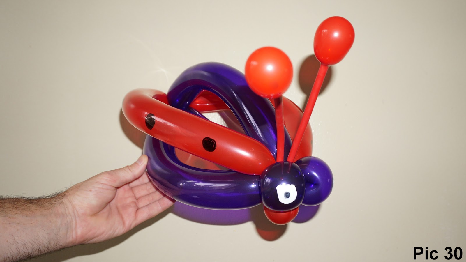 CLASSICAL: Balloon bug hat