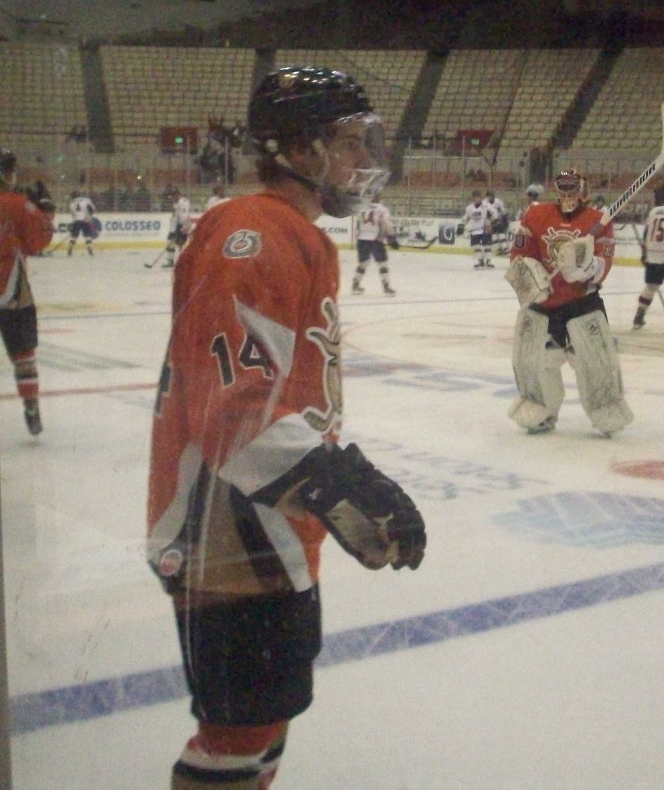 THE BULLS SHEET: GETTING CHIPPY WITH THE REIGN