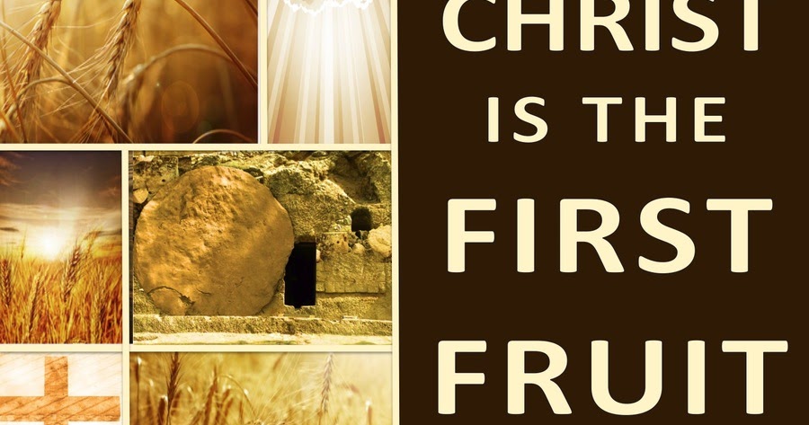 Blessed By The Lord: January 30, 2020 - THE FIRSTFRUITS