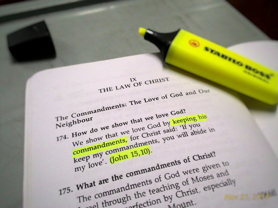 Obbedienza e feducia – Urbanix CMF