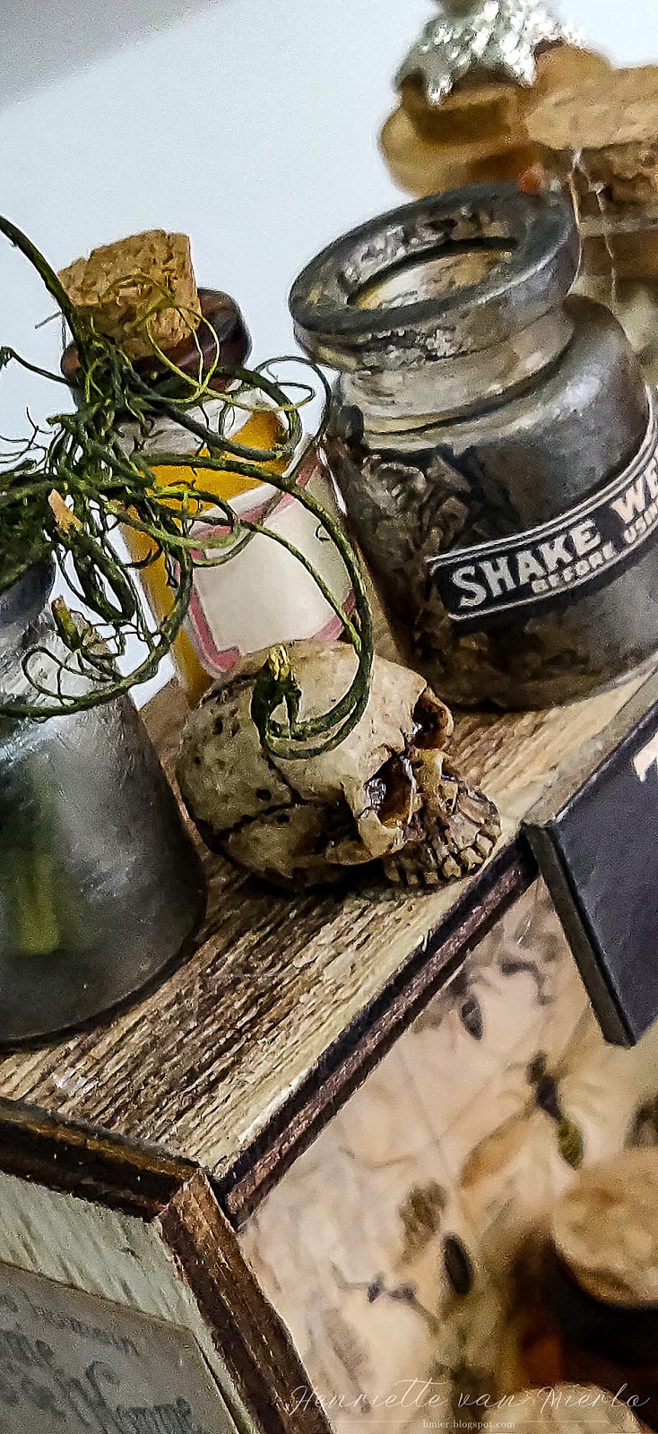 Miniature Apothecary - Henriëtte van Mierlo