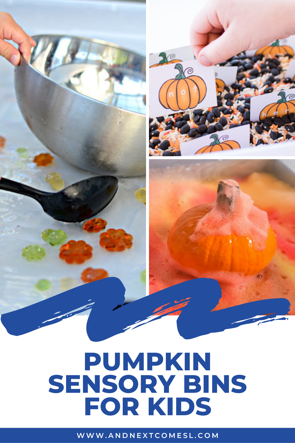 The Best Pumpkin Sensory Bins For Kids And Next Comes L Hyperlexia the-best-pumpkin-sensory-bins-for-kids-and-next-comes-l-hyperlexia