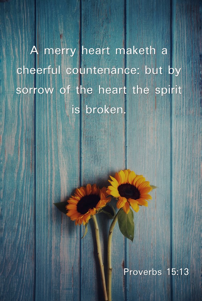 A Merry Heart Maketh a Cheerful Countenance