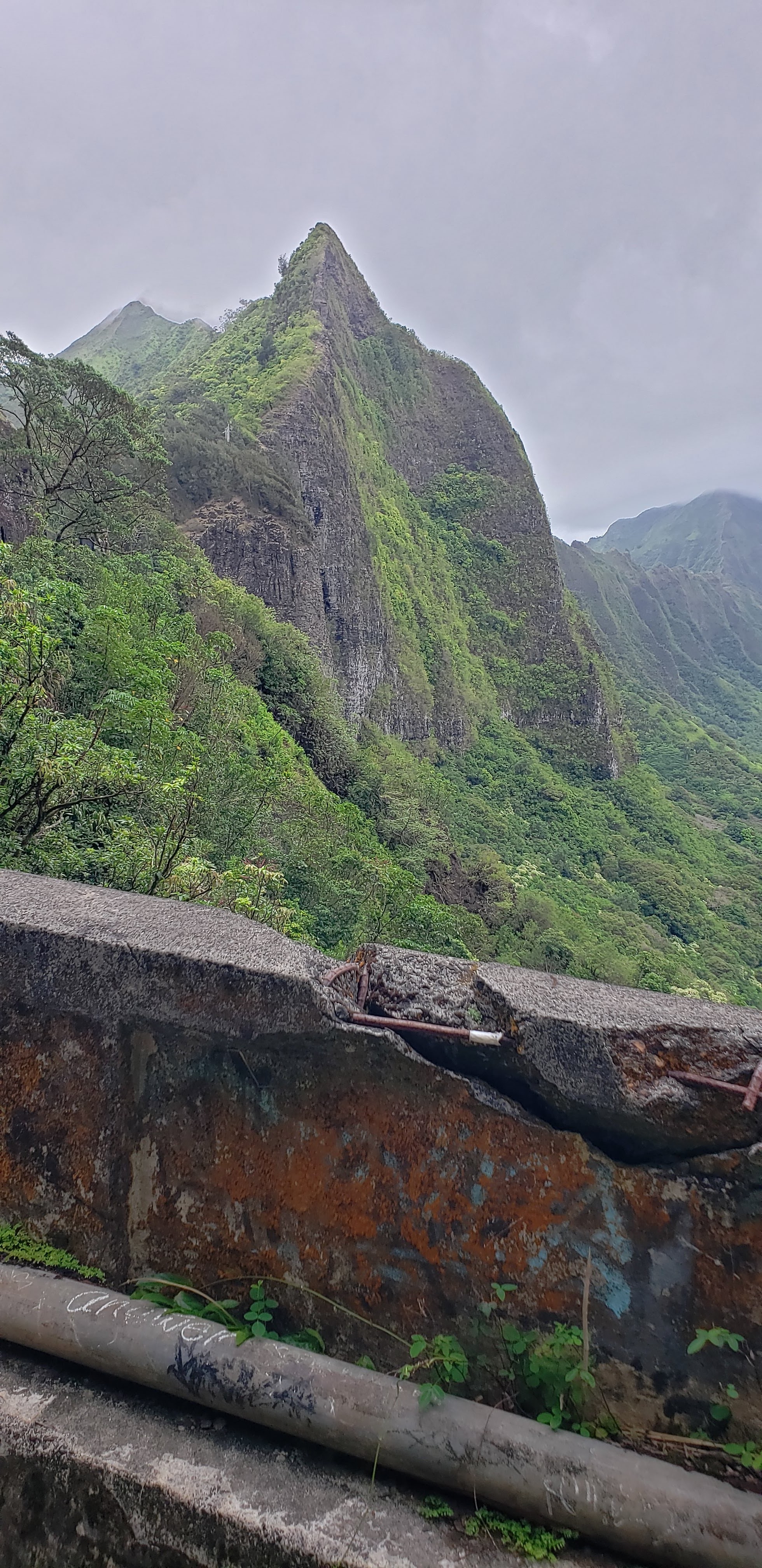 Old Pali Road Hike!