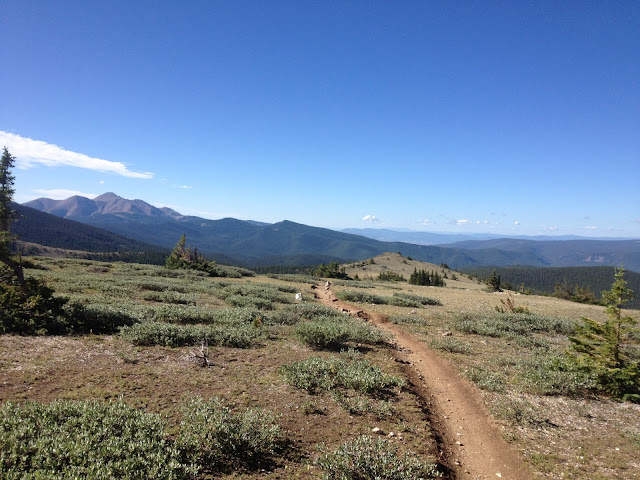 Nor'Easter Backcountry: The Monarch Crest Trail, Salida, Colorado