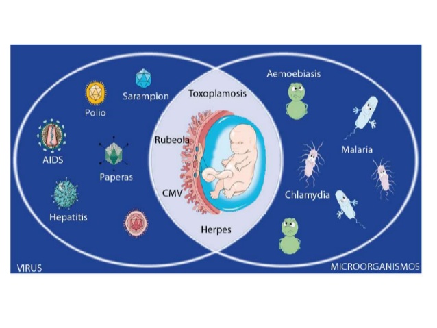 Enfermedades Torch: 2016