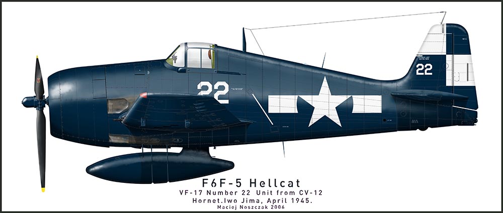 Aviation art made by Maciej Noszczak: F6F Hellcat