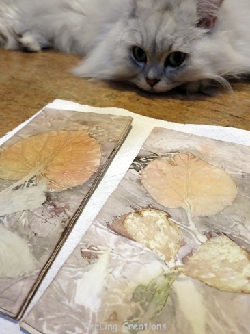 Terrie ~.~ smiling.....: Botanical imprints on paper 紙上植物移印染