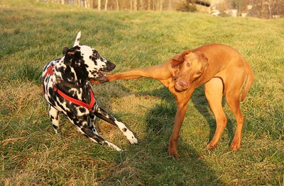 octubre 2020 ~ Minoría de Uno Solo