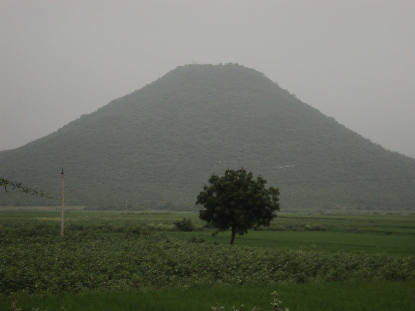 FREELANCE ARCHAEOLOGIST RAHUL VARANASI : GUTTIKONDA BILAM, GUNTUR DISRTICT