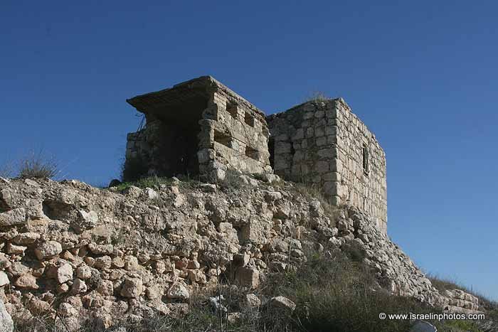 Travel | Flowers in Israel