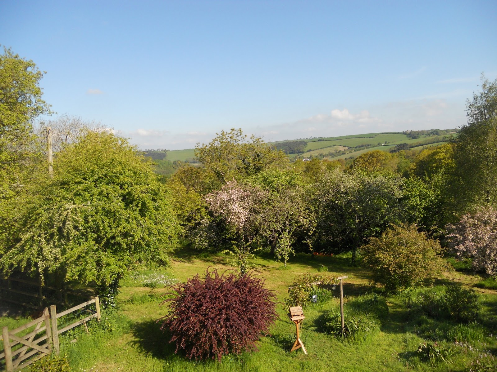 Pauline Barclay : Siting Round my Pool, Helen Hollick and Peggy Stanton