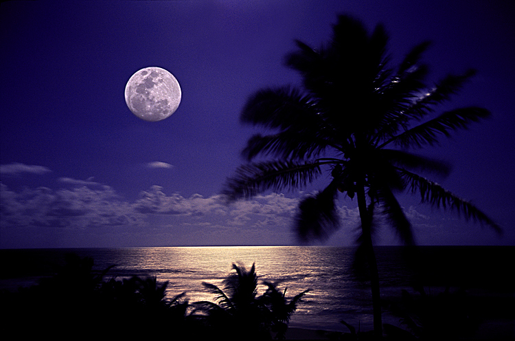 Cantinho da Cher...: Ao Luar, vamos dormir e sonhar...Para uma nova ...