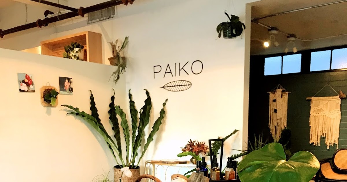 [Honolulu] Paiko - Cutest plant shop ever! DIY Potting and Terrarium Bar