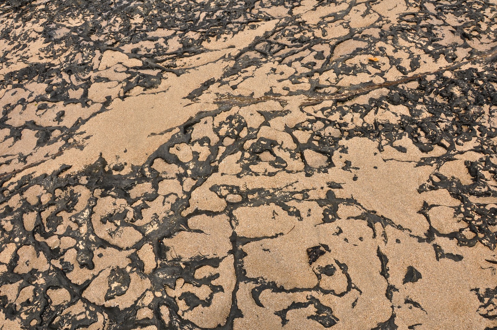 Tamarindo, Costa Rica Daily Photo: Volcanic rock forming patterns in ...