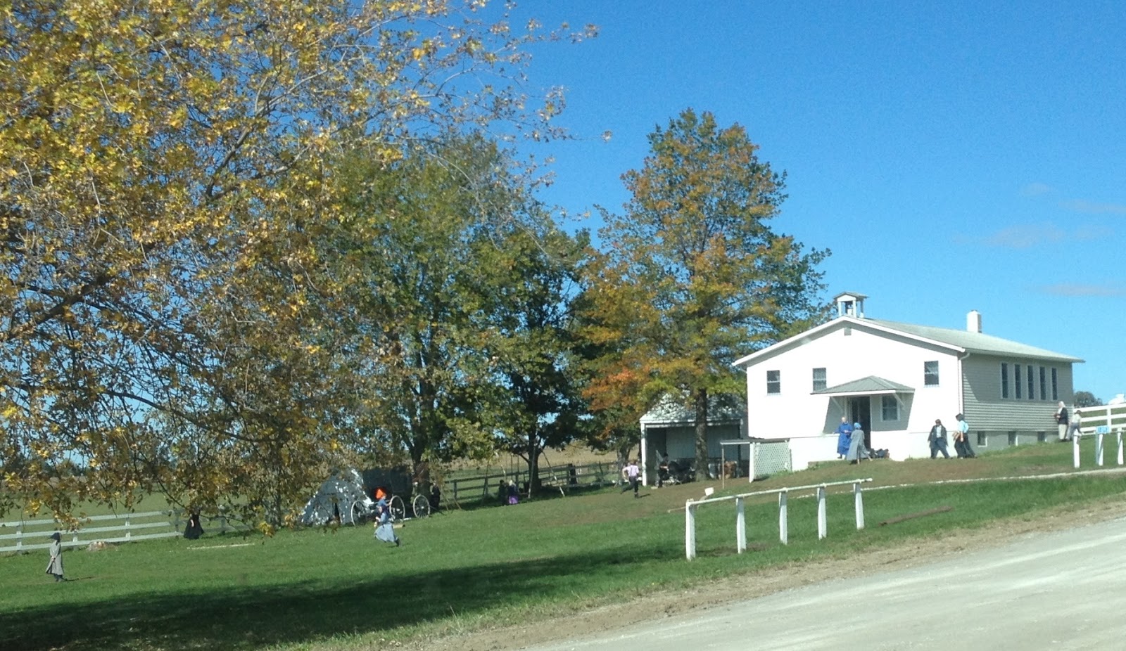 Amish Horses: Amish Fall