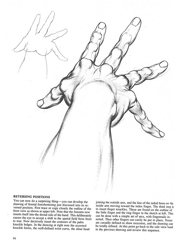 Anatomie Artistica BURNE HOGARTH & Gheorghe Ghitescu: BURNE HOGARTH ...