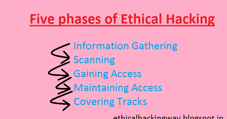 Five phases or steps to successfully perform ethical hacking