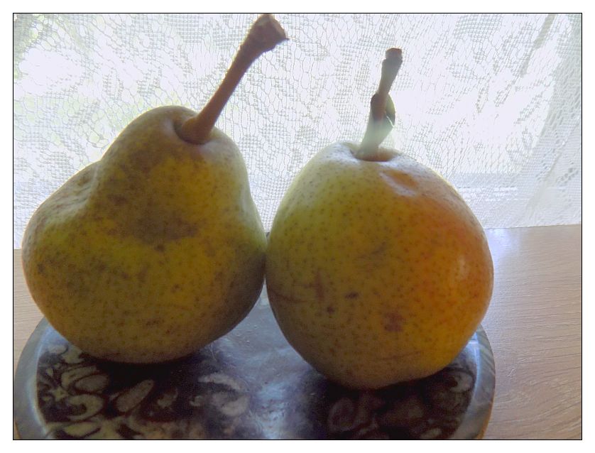 The Quiet Life: What can you do with hard cooking pears?