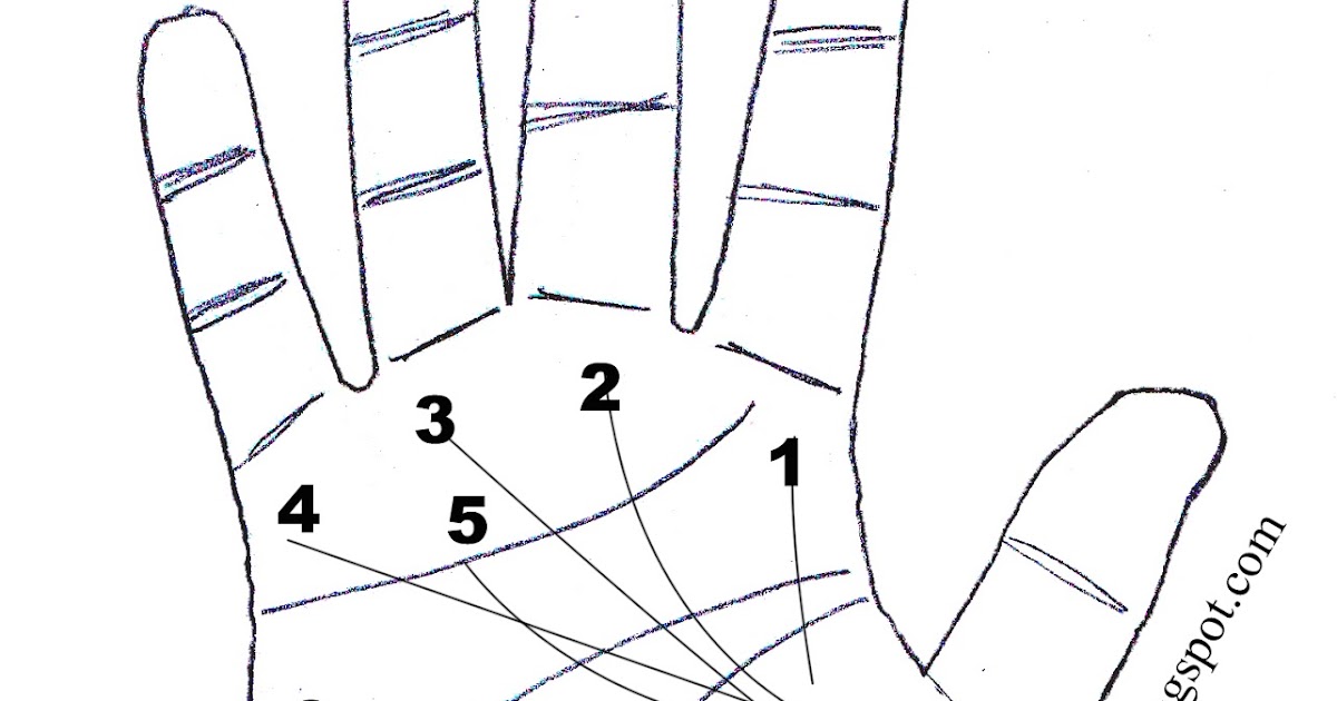 Lines From Mount Of Lower Mars | Mount Of Positive Mars | Mount Of 1st ...