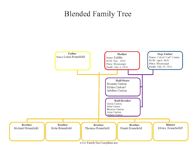 Brumfield Genealogy and other branches and trees