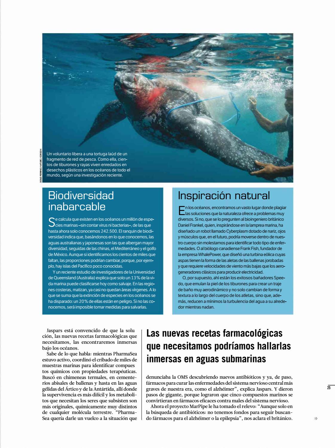 Caleta de cara al mar: SOS OCÉANOS REVISTA MUY INTERESANTE AGOSTO 2019