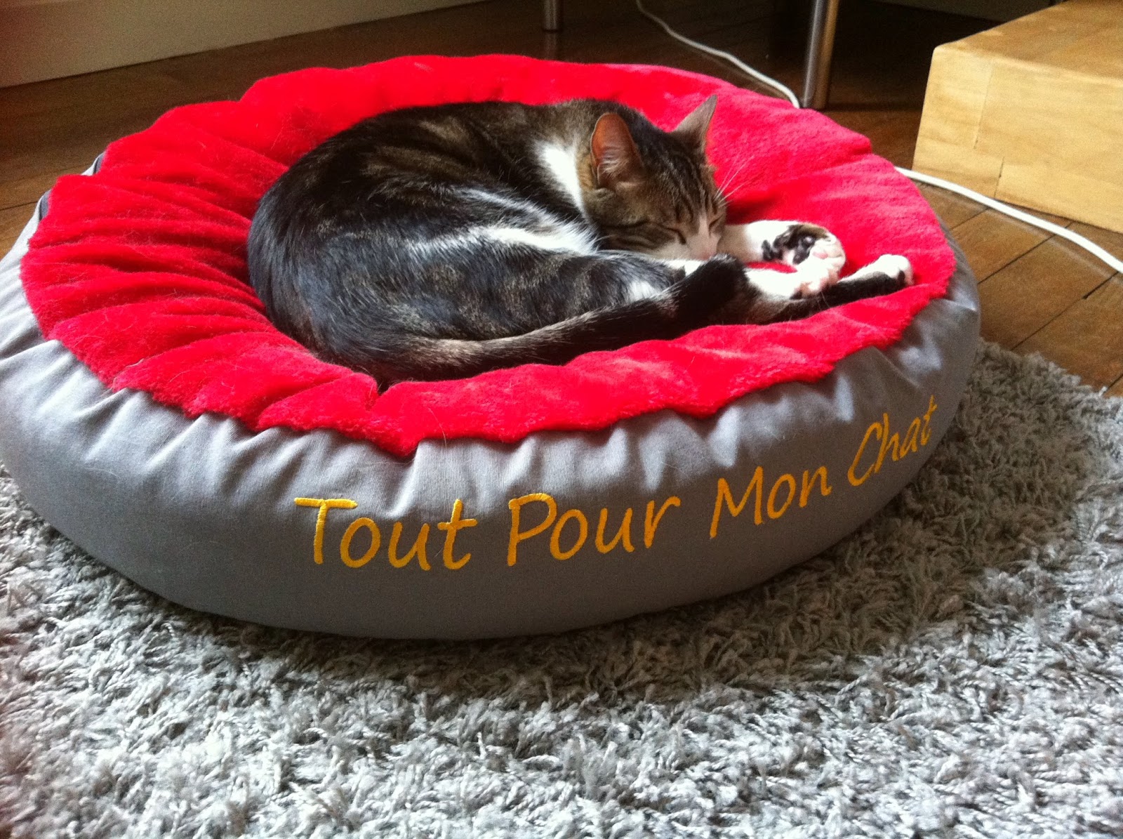 Tout Pour Mon Chat: Le super coussin pour chat Mowgly's Madeforcat