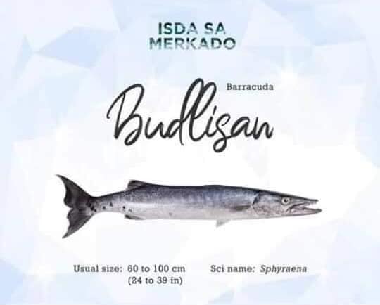 Ibat-Ibang Klase ng Isda at Iba Pang Laman-Tubig na Karaniwang Mabibili ...