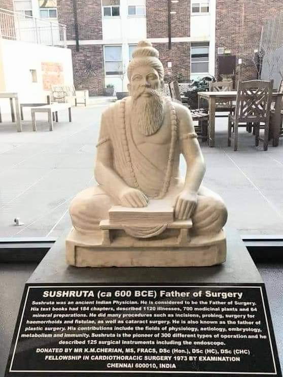 A PLASTIC SURGEON'S RANDOM BRAIN WAVES: SUSHRUTA – OUR PROUD HERITAGE