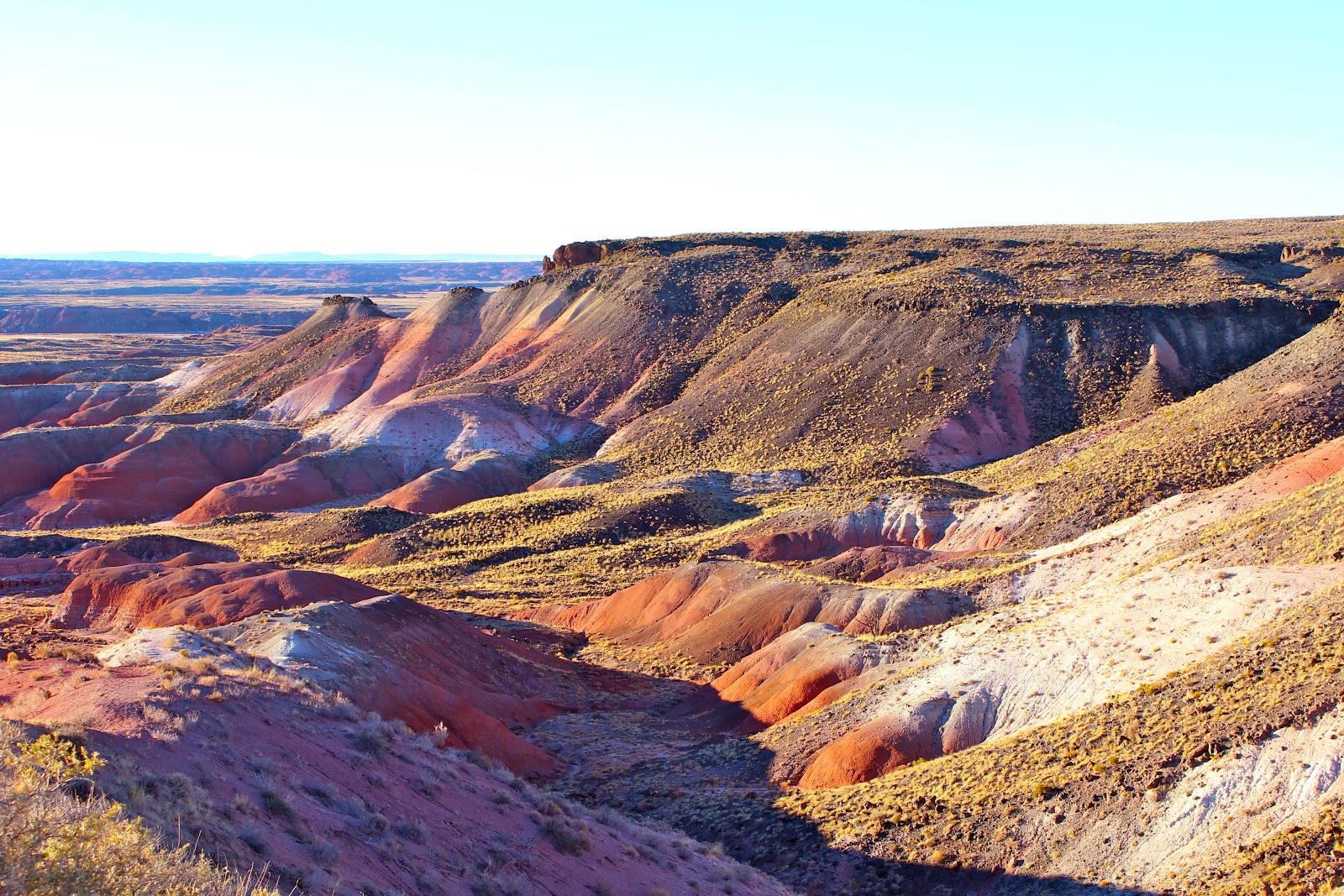 Honey's Treasures: New Mexico, Painted Desert and Petrified Forest