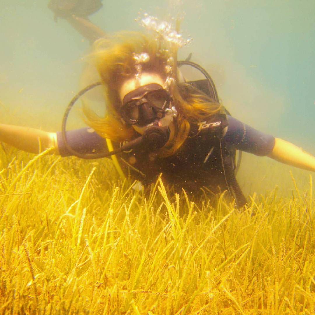 Discover the world with Faize: How deep can I go? The Basic ...