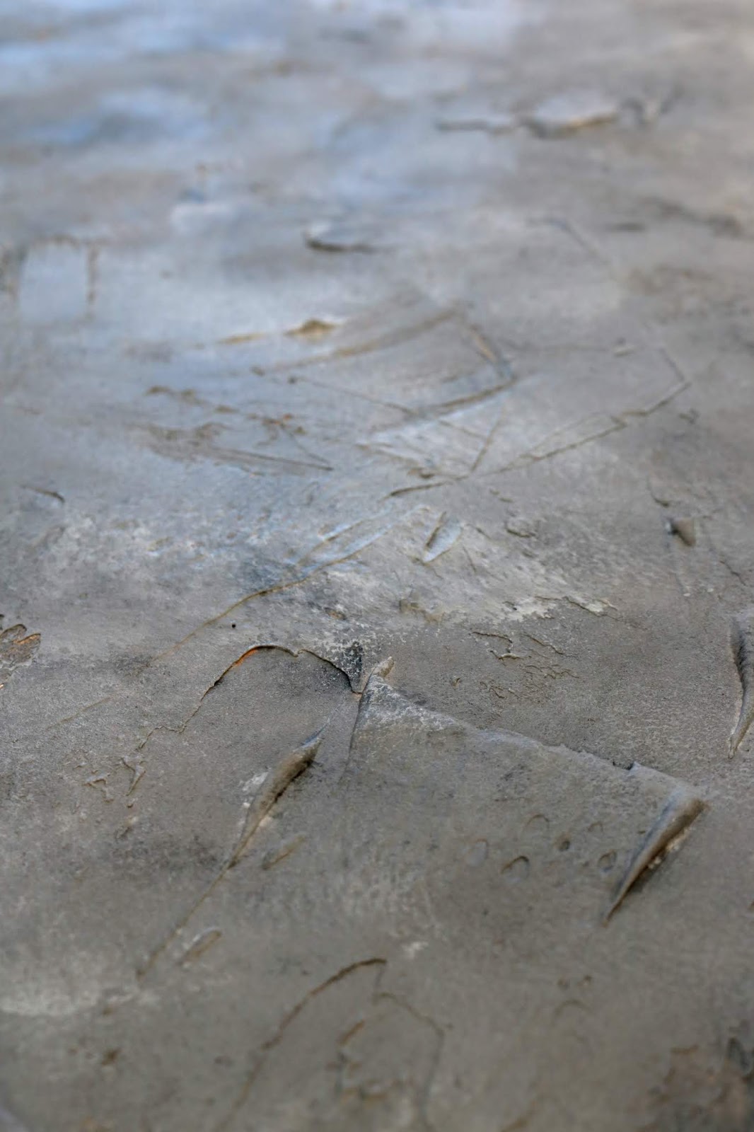 Southern In Law: DIY: Textured Concrete Look Photography Backdrop (For ...