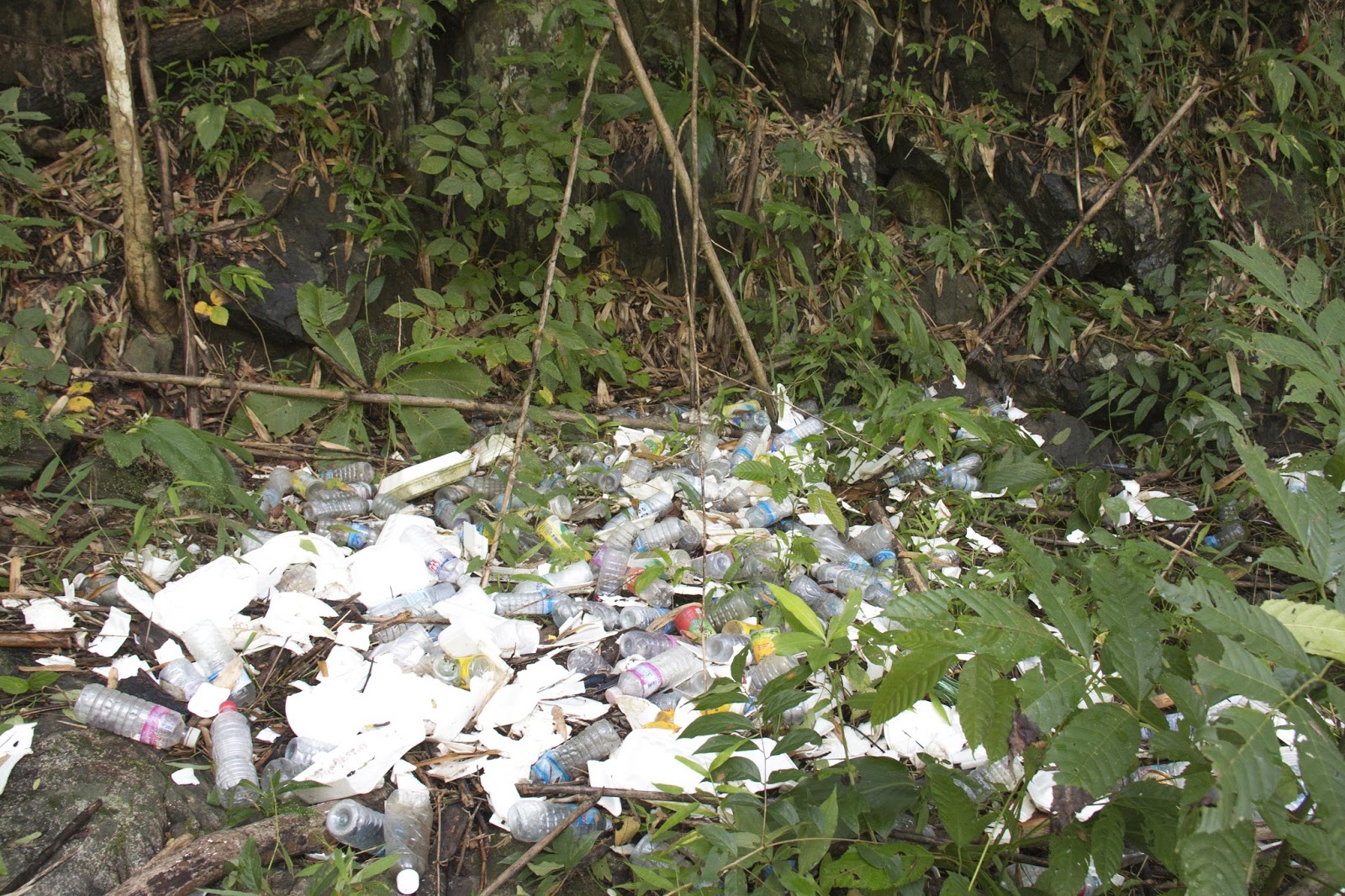 Beautiful waterfall and garbage
