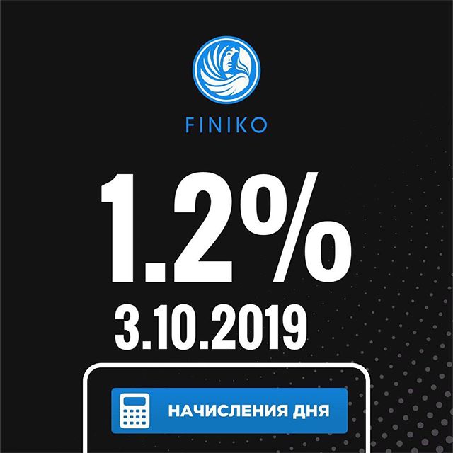 Finiko | Nata Lee for Biz