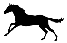 Lovak örökké (viki blog): Pindos póni