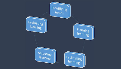 BPlows Designs: Teaching and Learning