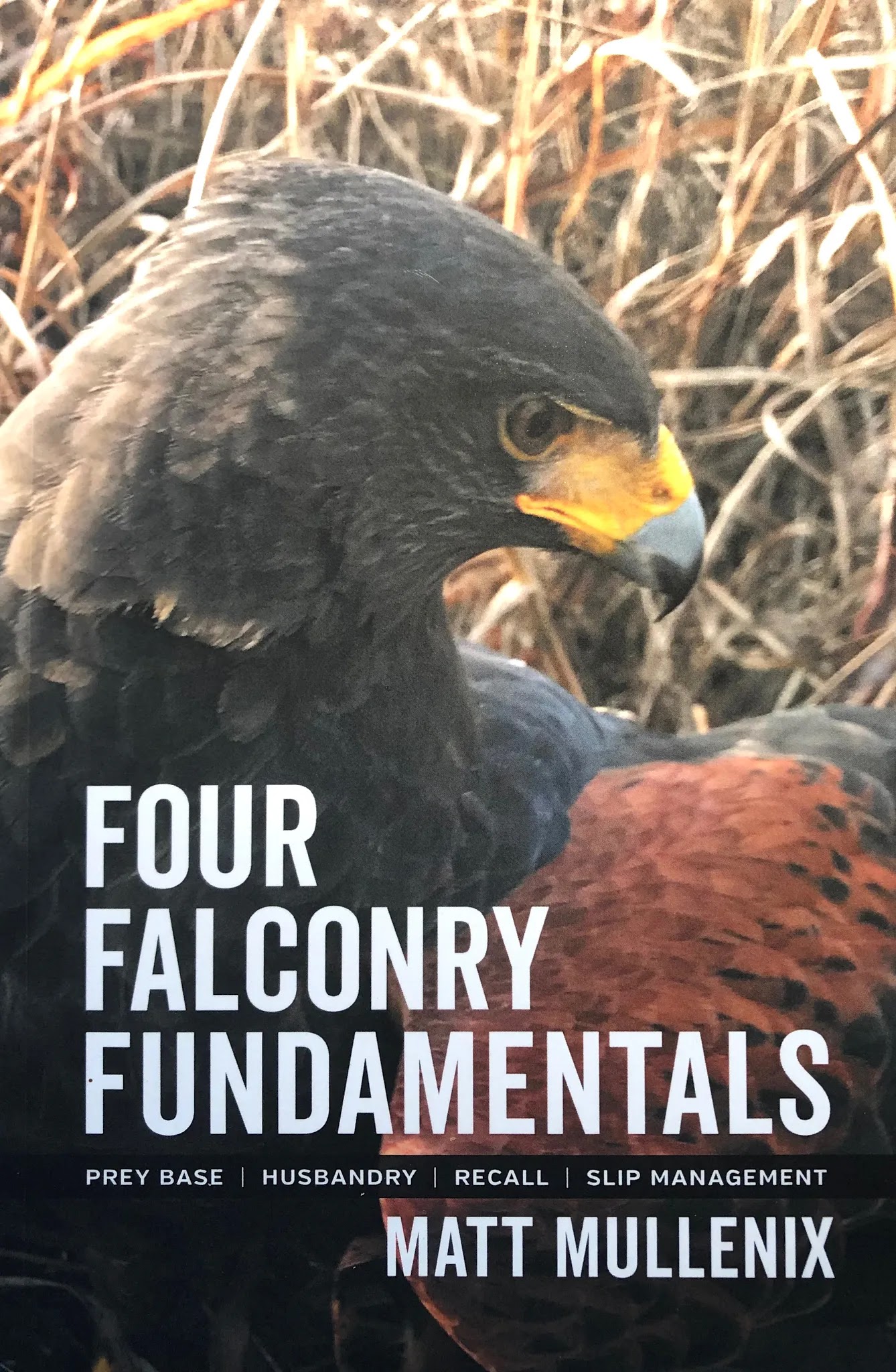 Terrierman's Daily Dose: Two Books on Order