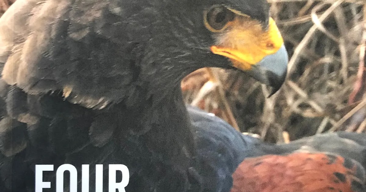 Terrierman's Daily Dose: Two Books on Order