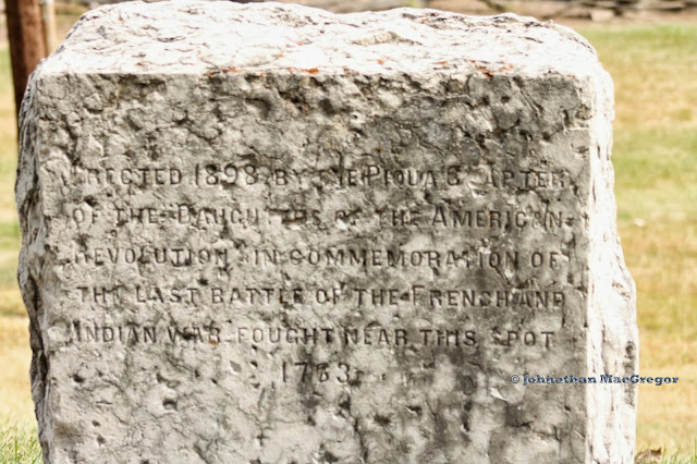 Books and Cameras: 2013