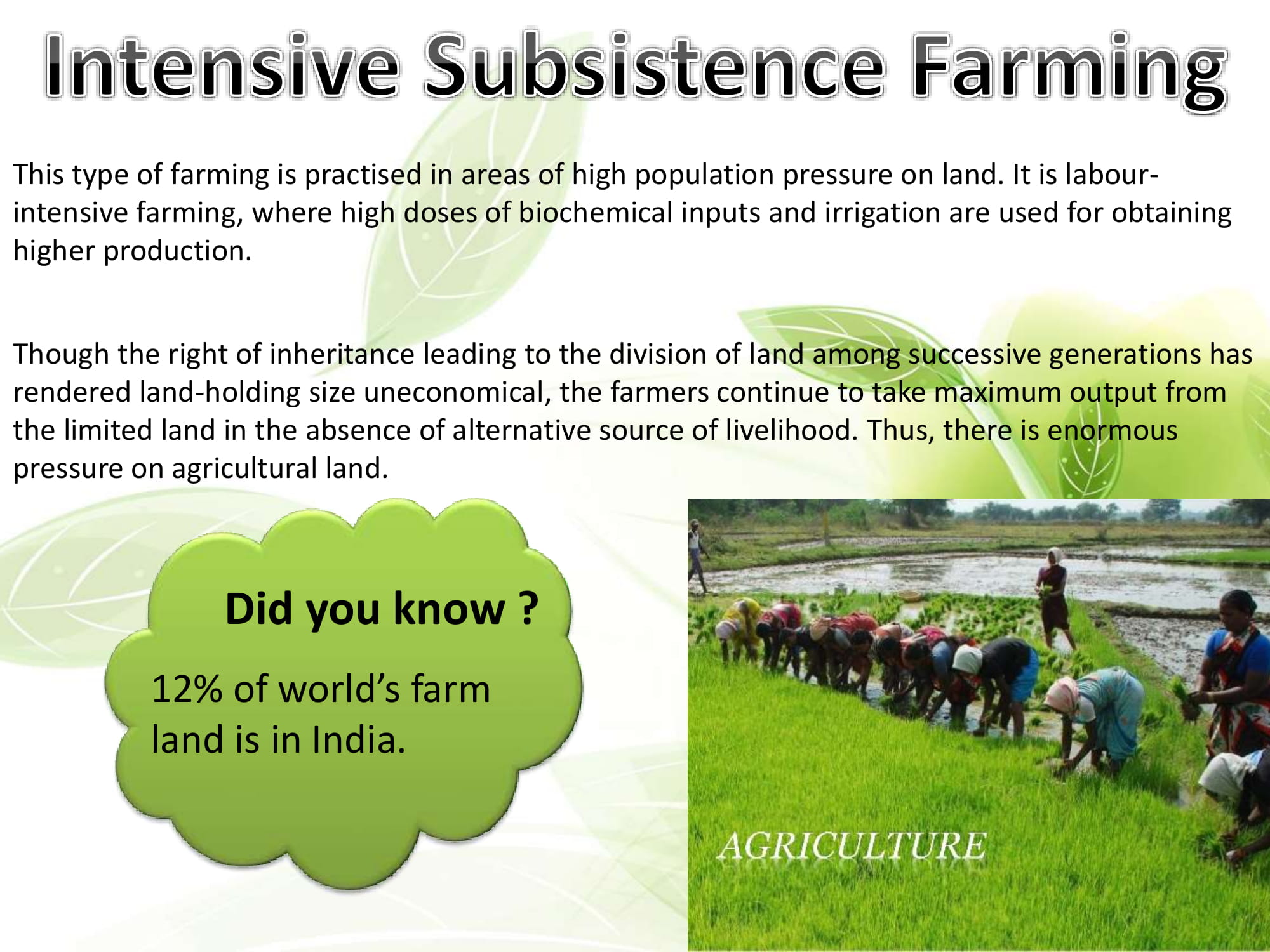 Agriculture Class 10th PPT