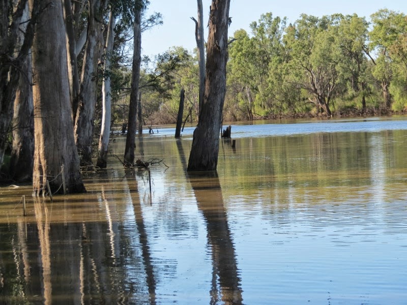 Dawson River revisited - The Grey Nomads Forum