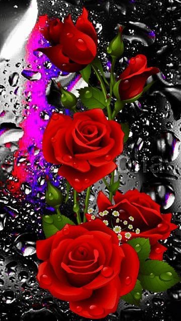 HD mobile phone wallpaper : Rose wallpaper for mobile phone