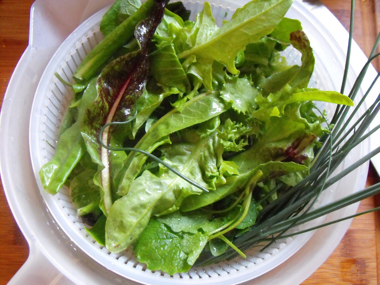Fresh mixed greens salad with walnuts and Gorgonzola