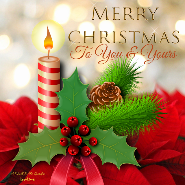 A Walk In The Garden: Christmas Greetings